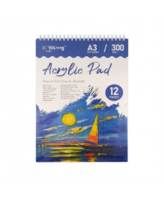 BLOCK CARTULINA/ACRIL A3 300G YL-XQ345-A3 YALONG